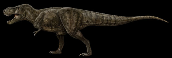 Chinese T. Rex Discovered In Eastern China – Asian Scientist Magazine
