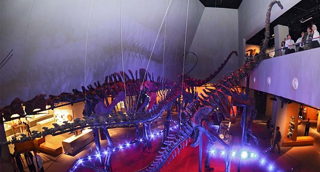 NUS Launches Singapore’s First Natural History Museum - Asian Scientist ...