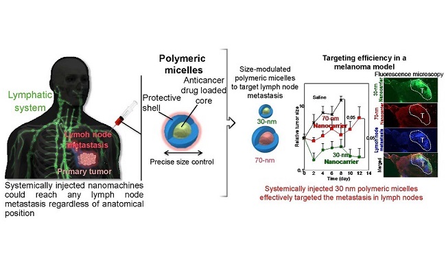 Smaller Nanoparticles Deliver Cancer Drugs To The Lymph Nodes - Asian ...