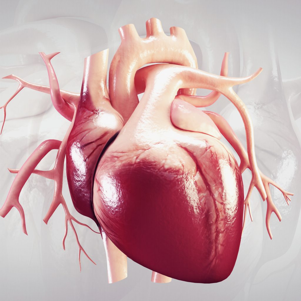 Helping The Heart Heal Itself - Asian Scientist Magazine