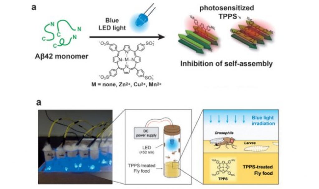 Blue Light Could Treat Alzheimer’s Disease – Asian Scientist Magazine