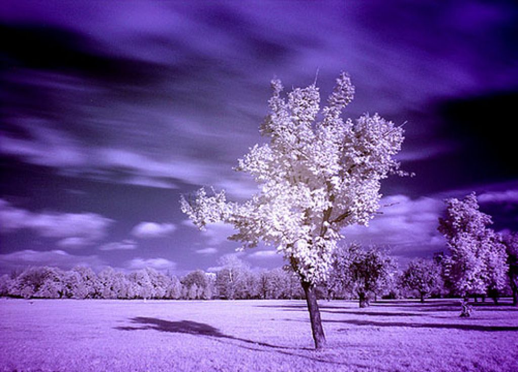 Faulty ‘Reality Testing’ Leads To Dreams, Déjà Vu And Delusions – Asian ...