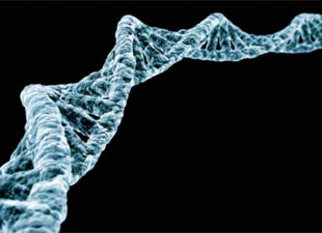 Researchers Solve The Crystal Structure Of Chromatin-Bound DNA In ...