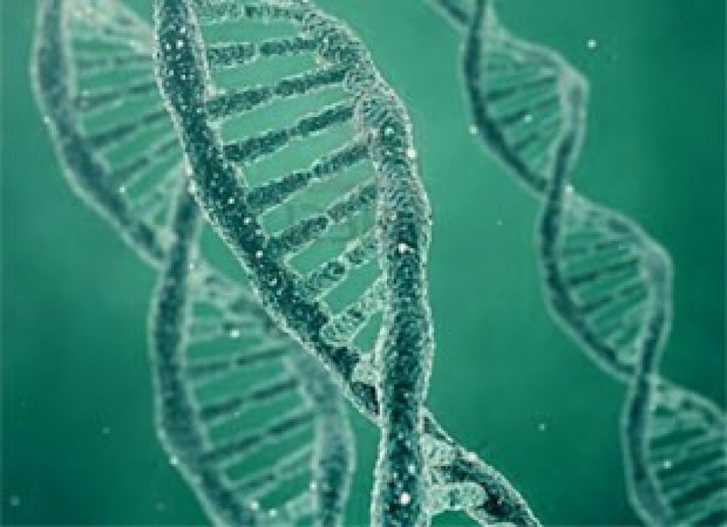 Scientists Identify Novel Genetic Markers For Lou Gehrig’s Disease In ...