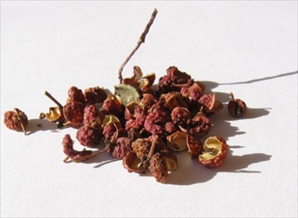 Tingling Sensation Caused By Asian Spice Could Help With Chronic Pain – Asian Scientist Magazine