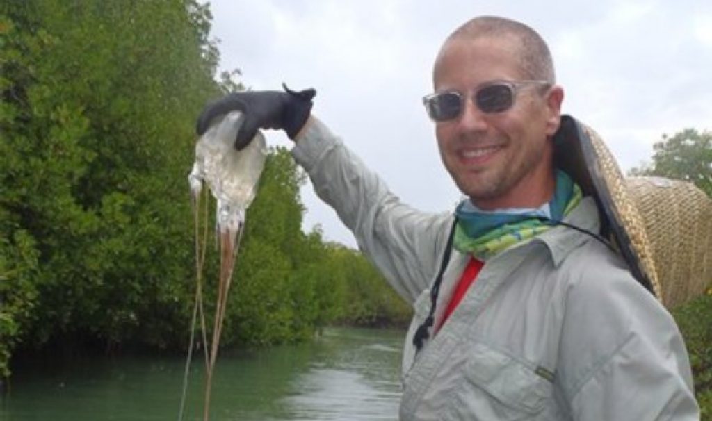 Milking Deadly Jellyfish For Lifesaving Drugs – Asian Scientist Magazine